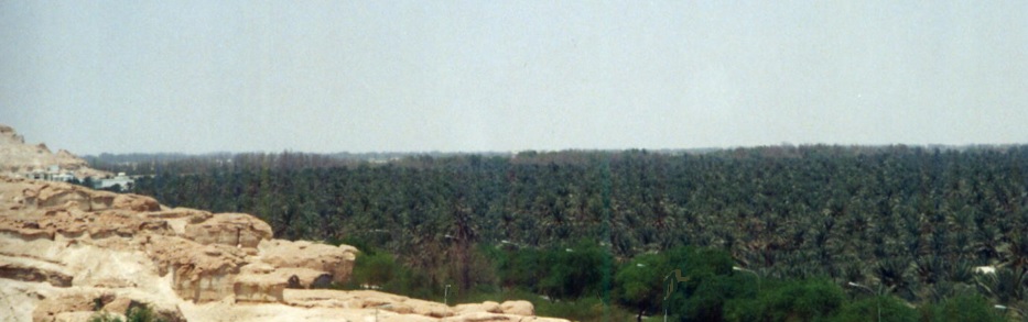 アラビア古代文字 その2 – Desert peninsula